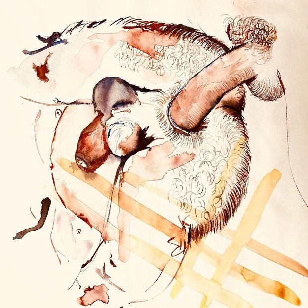 Drisb Art Phnix