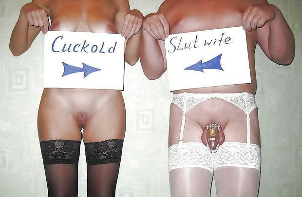 Ready To Serve In Cuckold Xamander 