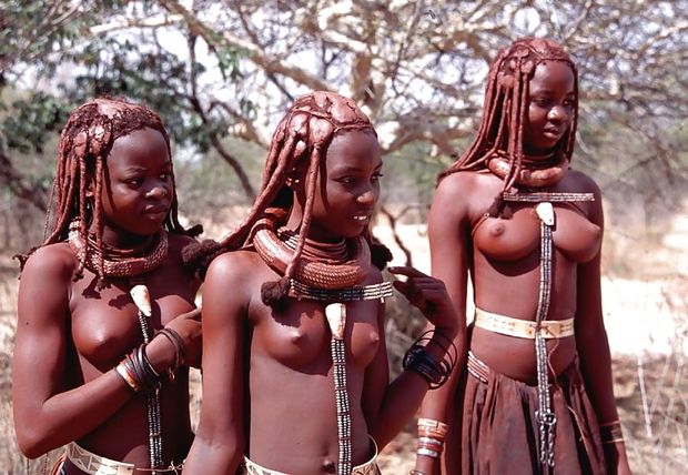 Wild Africa Shoots