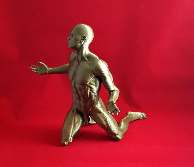 Hombre Desnudo Muscular Impreso En 3d Arrodillado Phnix