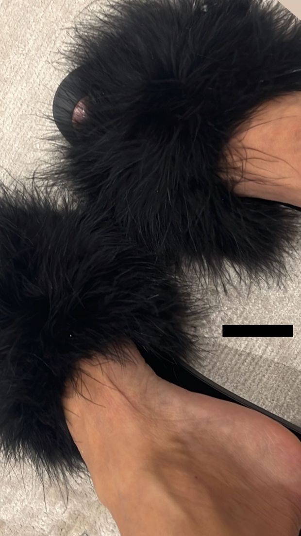 Cute And Fuzzy Icarusnewport