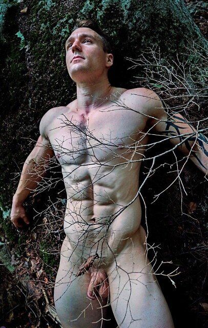 Baxter Linn Phnix