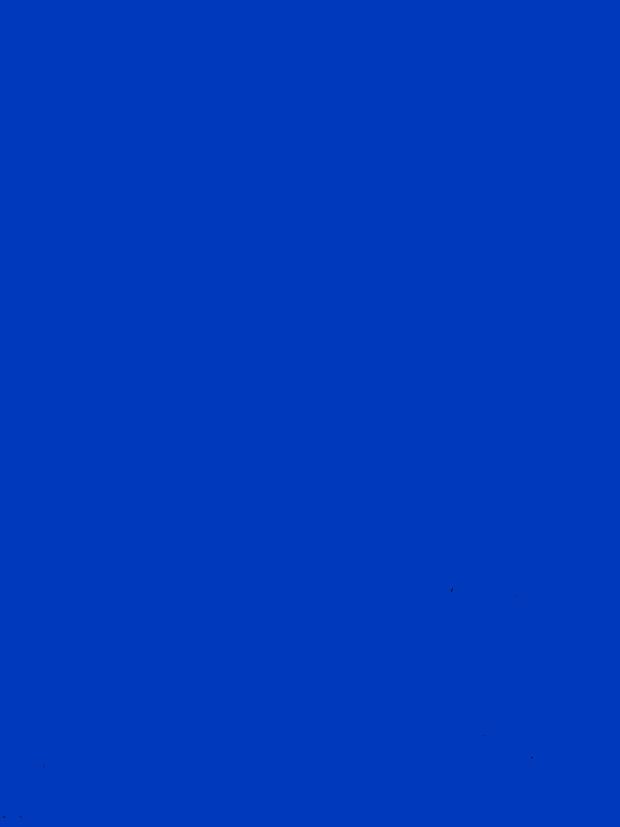 Bleu Deaky