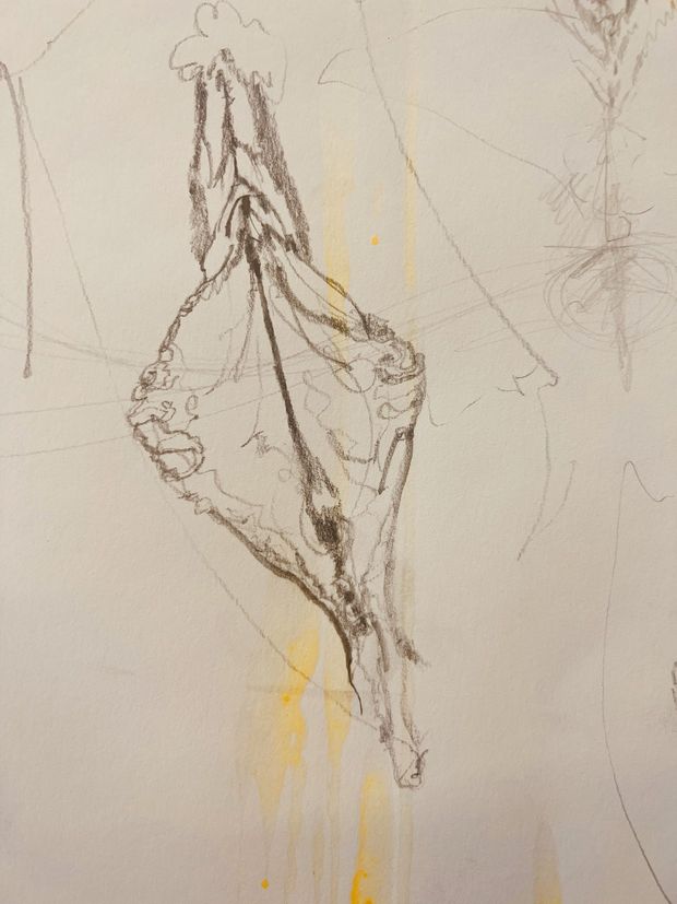 Vagina Sketch Carovago