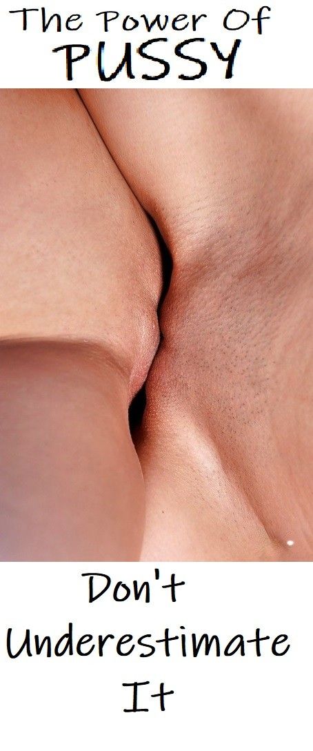 Never Underestimate The Power Of Pussy Pglsn