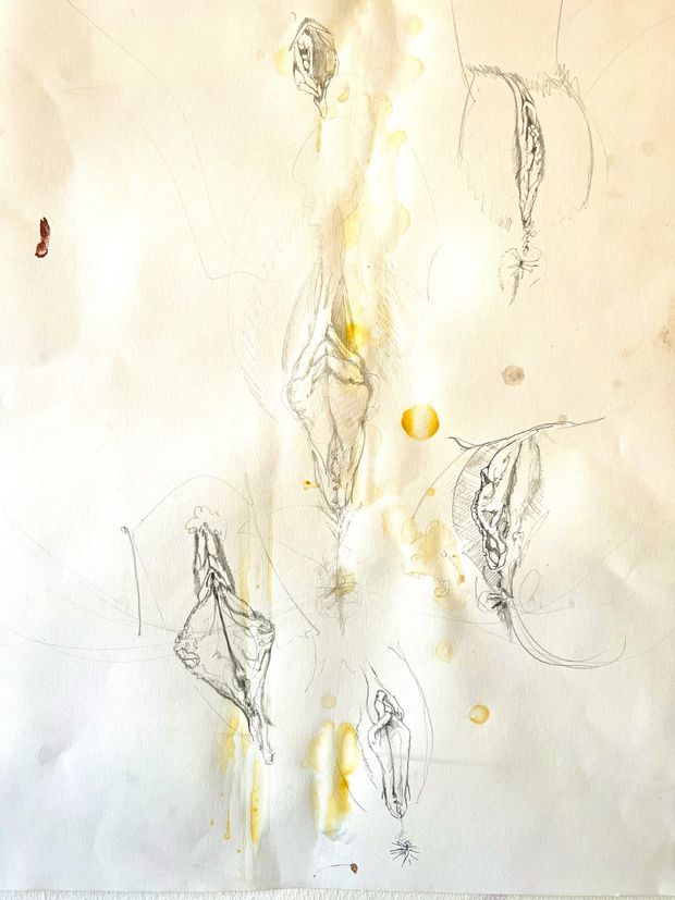 Pussies And Cum” Drawing With Cum On Paper Carovago