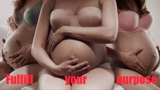 Ideally My Sluts Will All Be Bred Simultaneously Haremkeeper