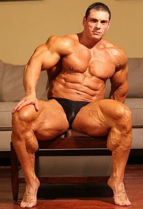Paco Bautista Phnix