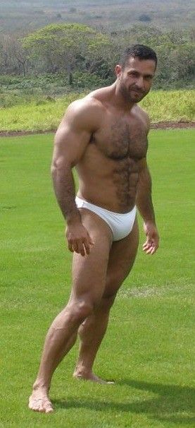 Adam Champ Phnix