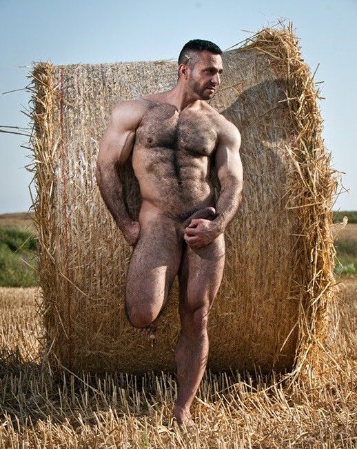 Adam Champ Phnix