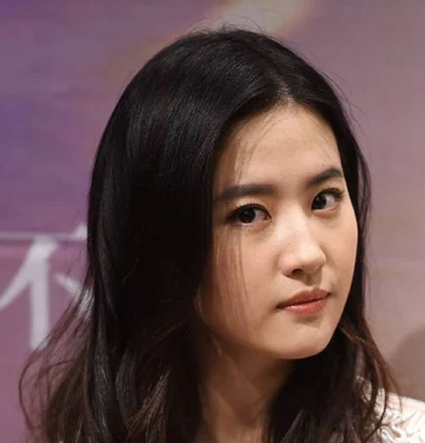 Liu Yifei Perturabork