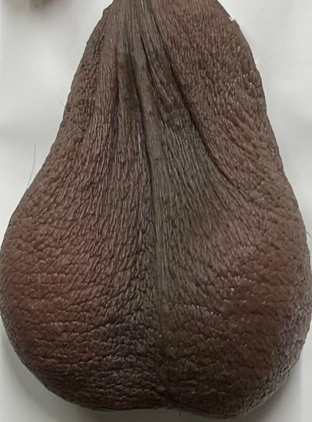 Yam Bag Tubbys1st