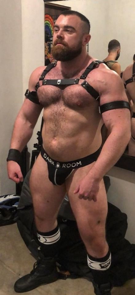 Bear Phnix