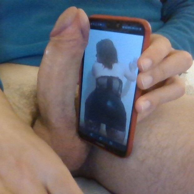 Tribute Tribby1