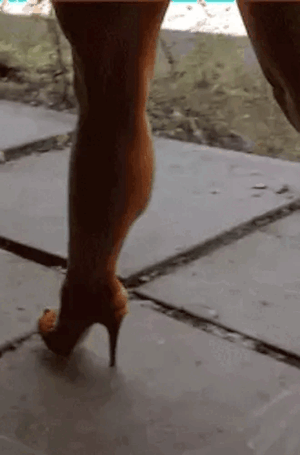 Hot Legs S