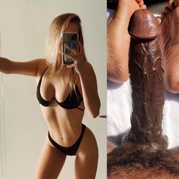 Bbc Babecock Aria315fields