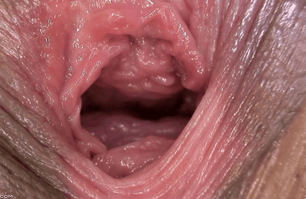 Wide Open Pussy Xtreme4