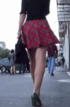 Walking Plaid S