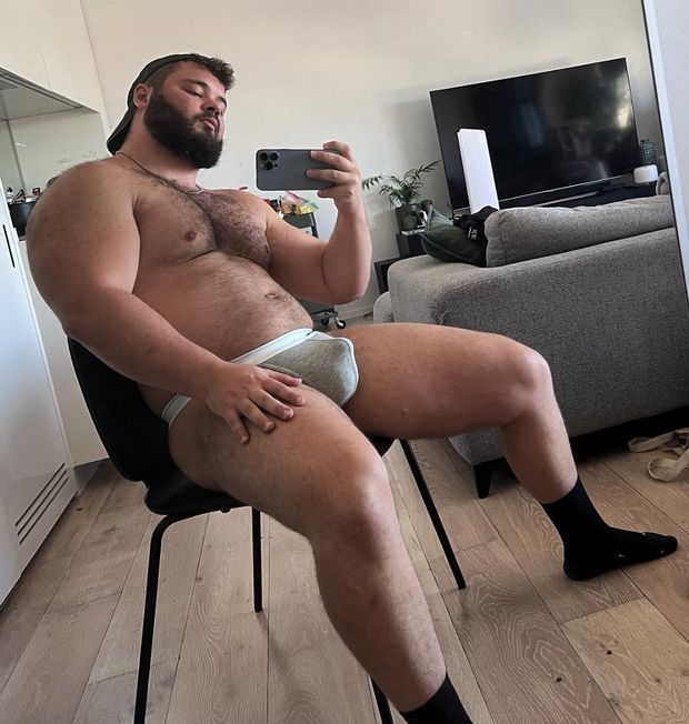Urso Phnix