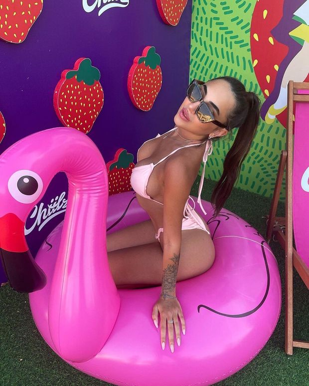 Flamingo Justbackuponit