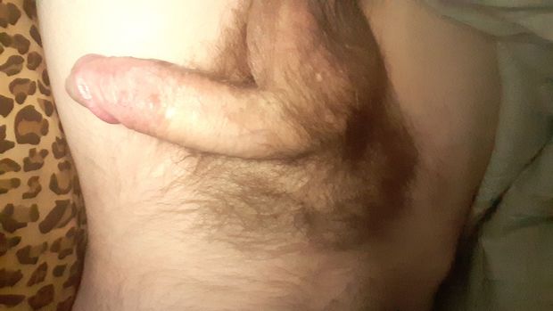 Hot Cock Please Leave And Opinion Dand5