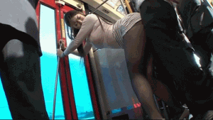 Bus Sex S