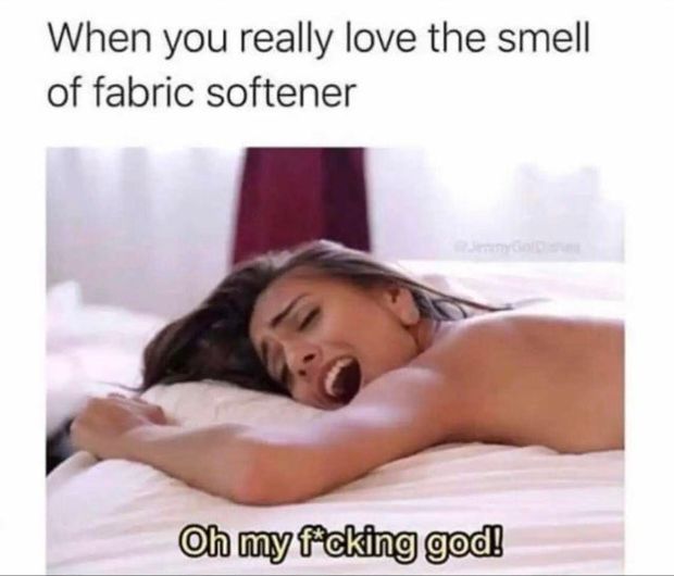 Porn Meme Pornmorne