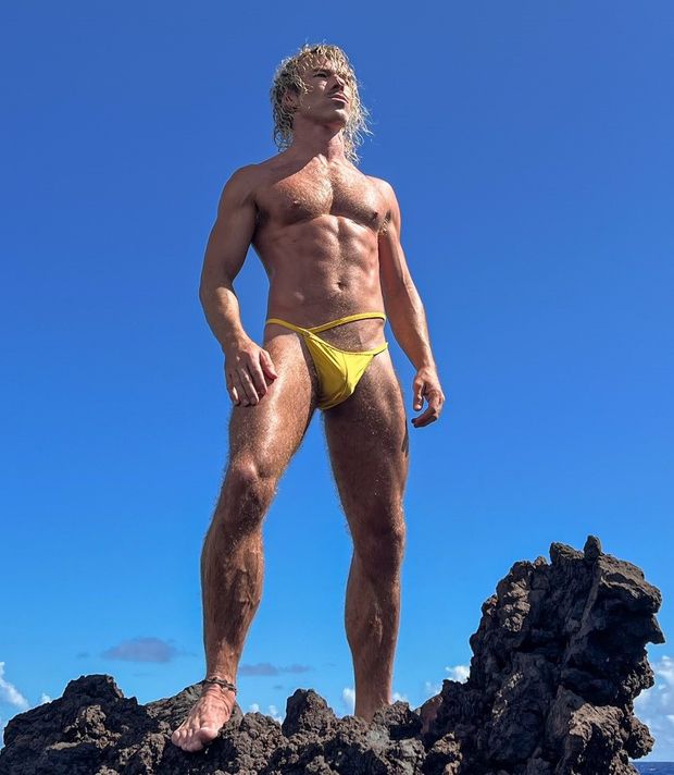 Dw Chase Phnix