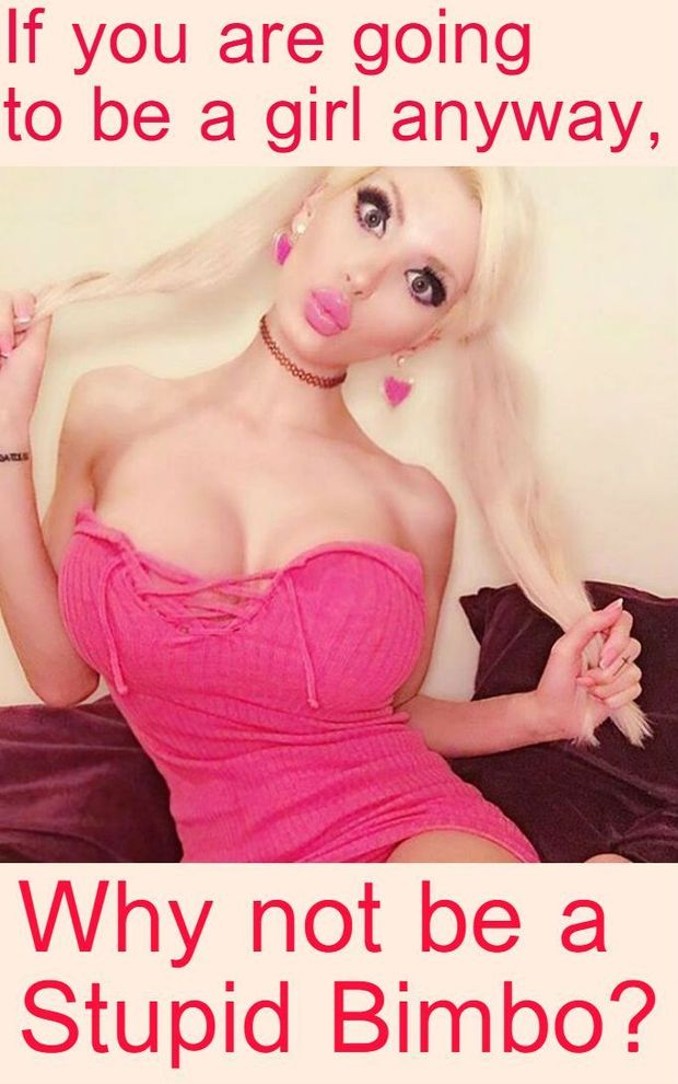 Why Not Sissyciarra