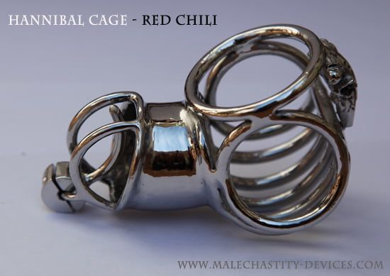 Chastity Cage Bartman