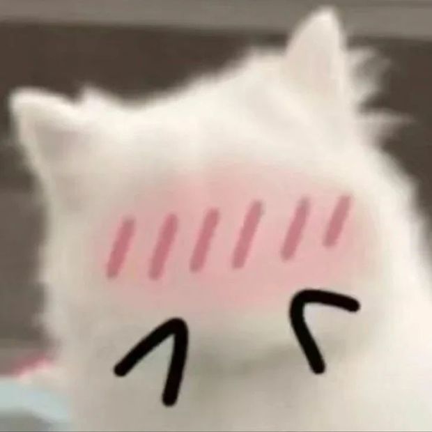 Literally Just My Pfp Milkman672 6285
