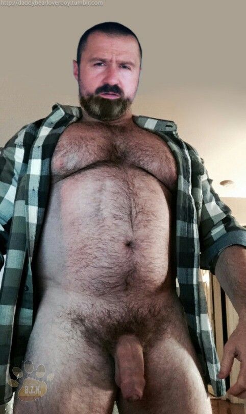 Oso Potente Phnix