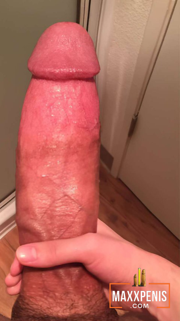 King Of Size Vvaneesa