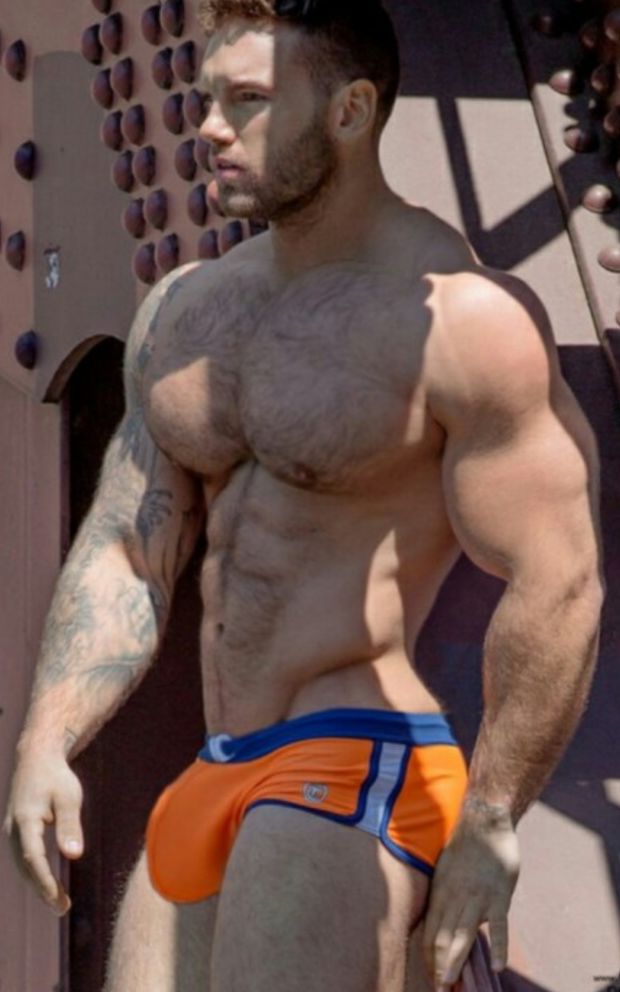 Muscle Bulge Houtex2019