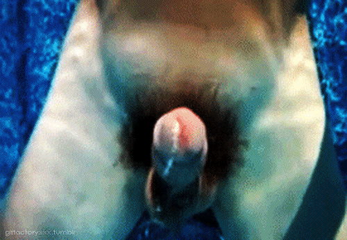 Under Water Cumshot Tubbys1st
