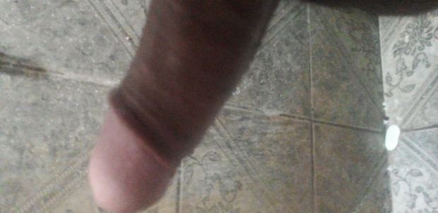 Pica Kkjpica