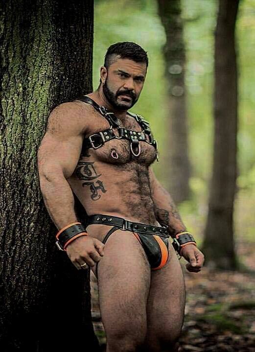 Rogan Richards Phnix