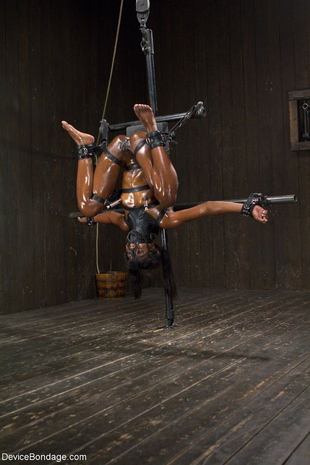 Clarifying The Ideas Of Disobedient Slave Xxxfullloadxxx
