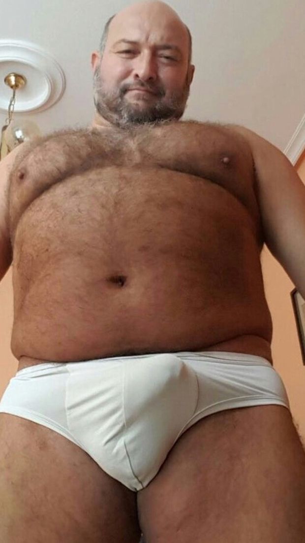 Bear White Bulge Phnix