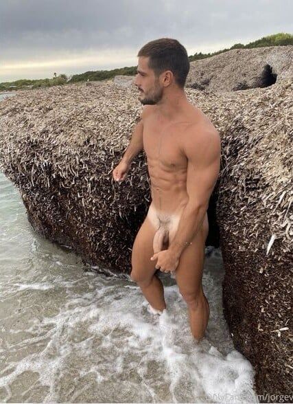 Jorge Cobian Phnix 