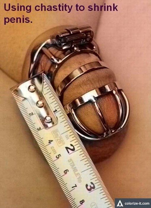 Using Chastity To Shrink Penis Freewind