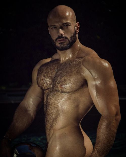 Luis Vieira Phnix 