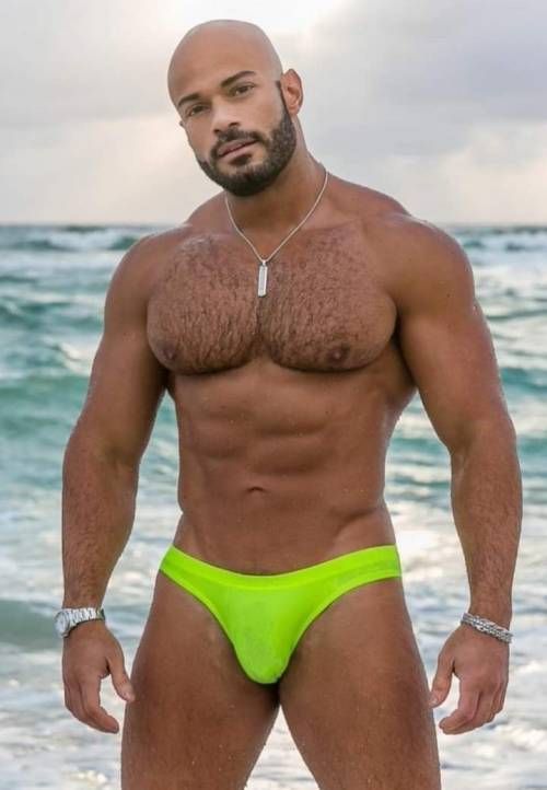 Luis Vieira Phnix
