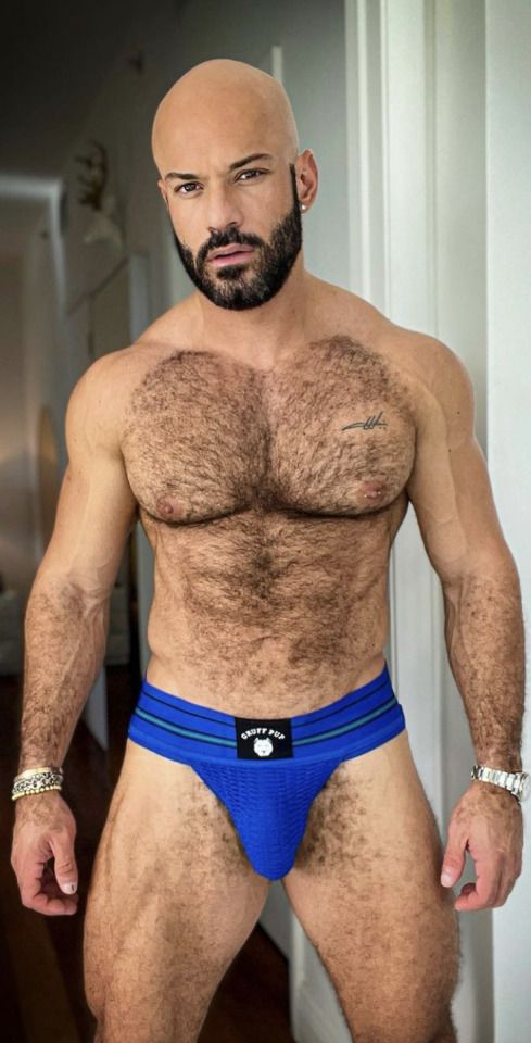 Luis Vieira Phnix