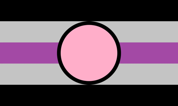 Fictosexual Flag Toonlibido