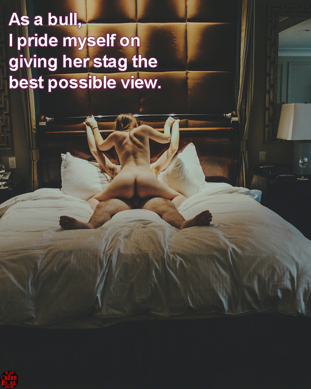 The View Bullishbehaviour