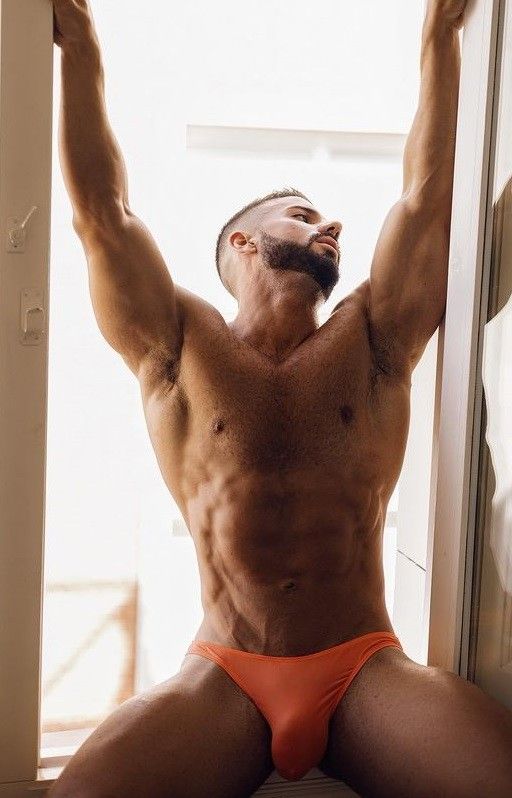 Andres De Sousa Phnix