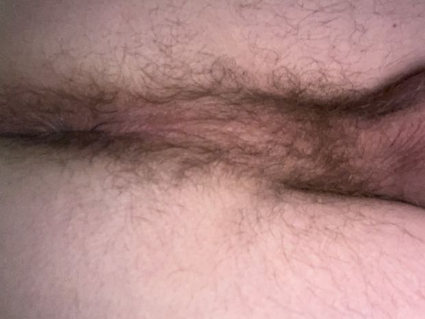 Hairy Ass Dicks42088