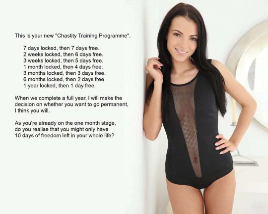 Chastity Training Programme Freewind