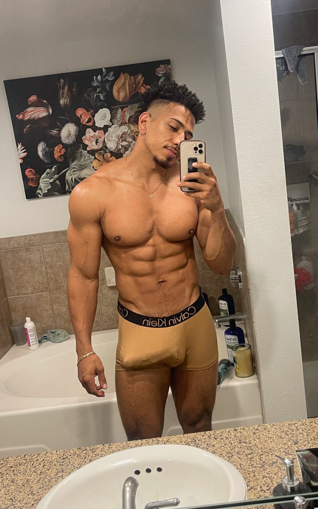 Bbc Bulge Houtex2019